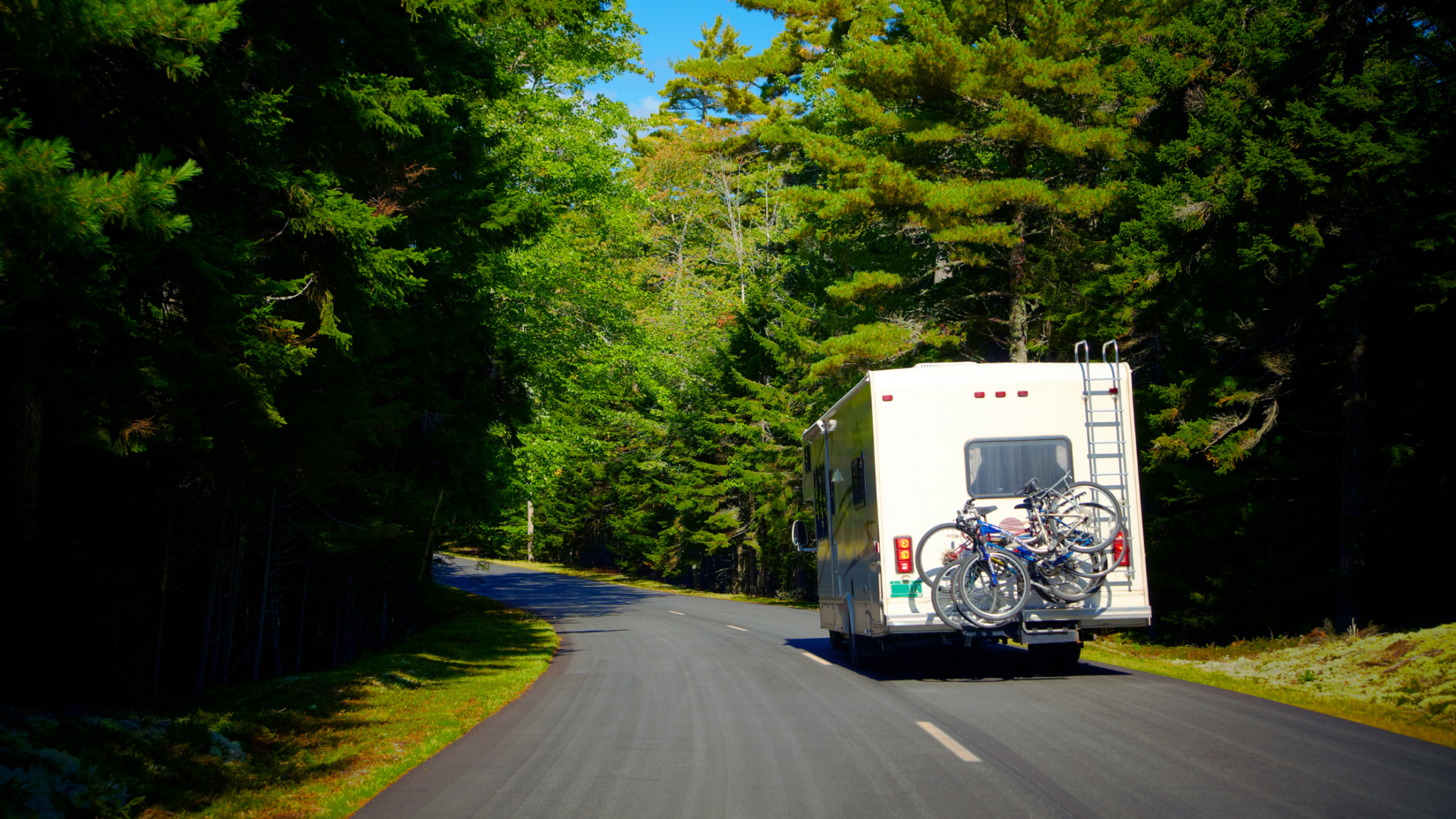 15 Clever RV Exterior Storage Ideas to Maximize Your Space