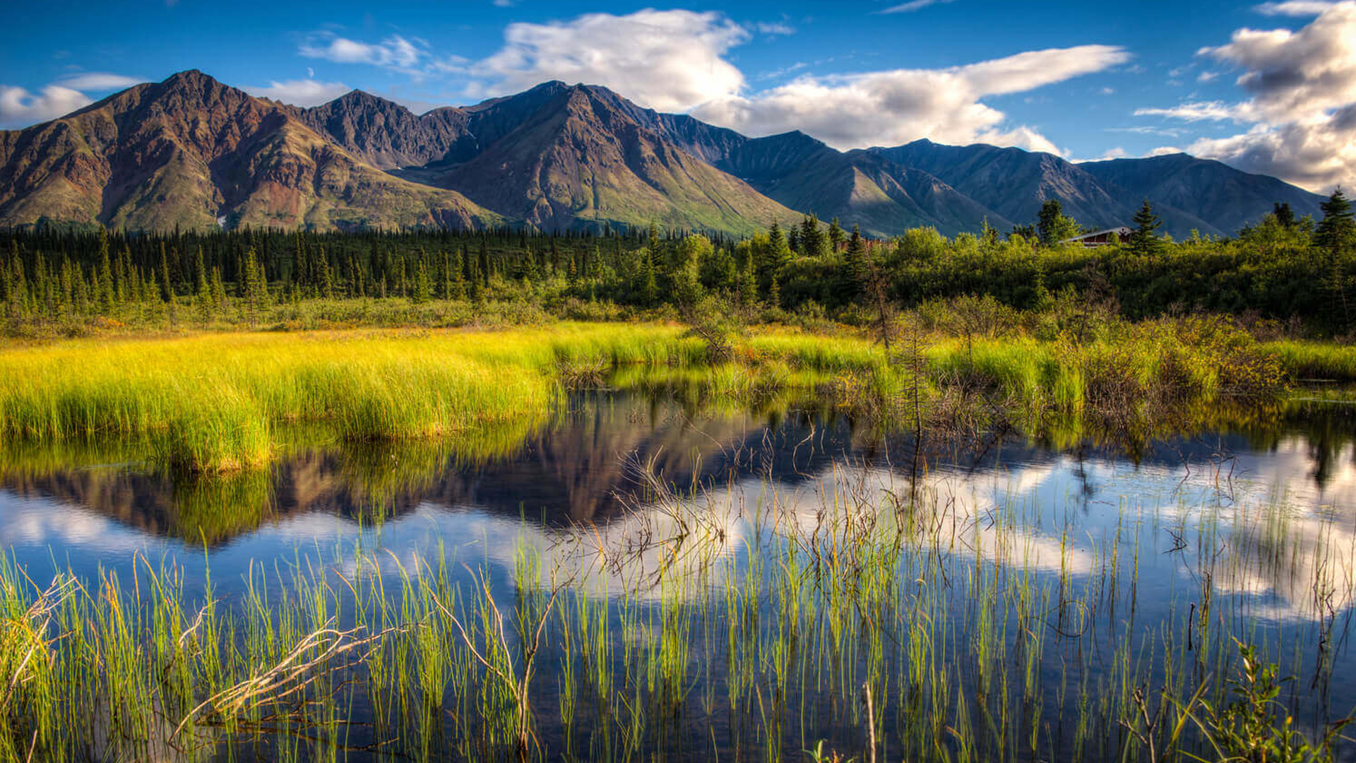 Top 10 National Parks to Visit in June for Summer Adventures