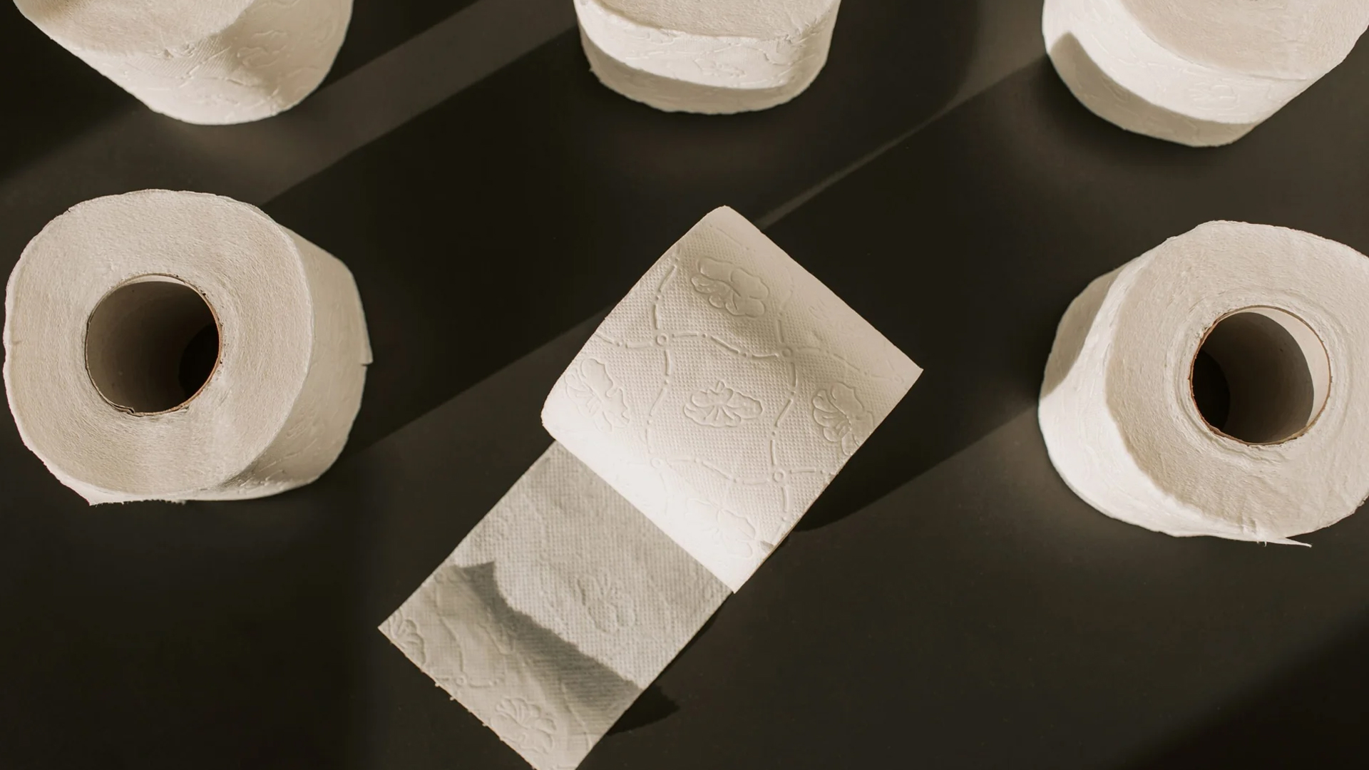 7 Best RV Toilet Paper Options: Why It's Necessary