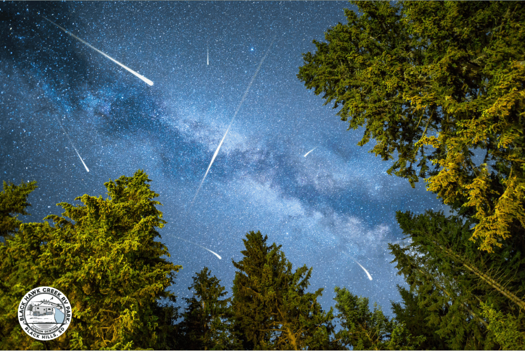 The Perseids Meteor Shower 2025