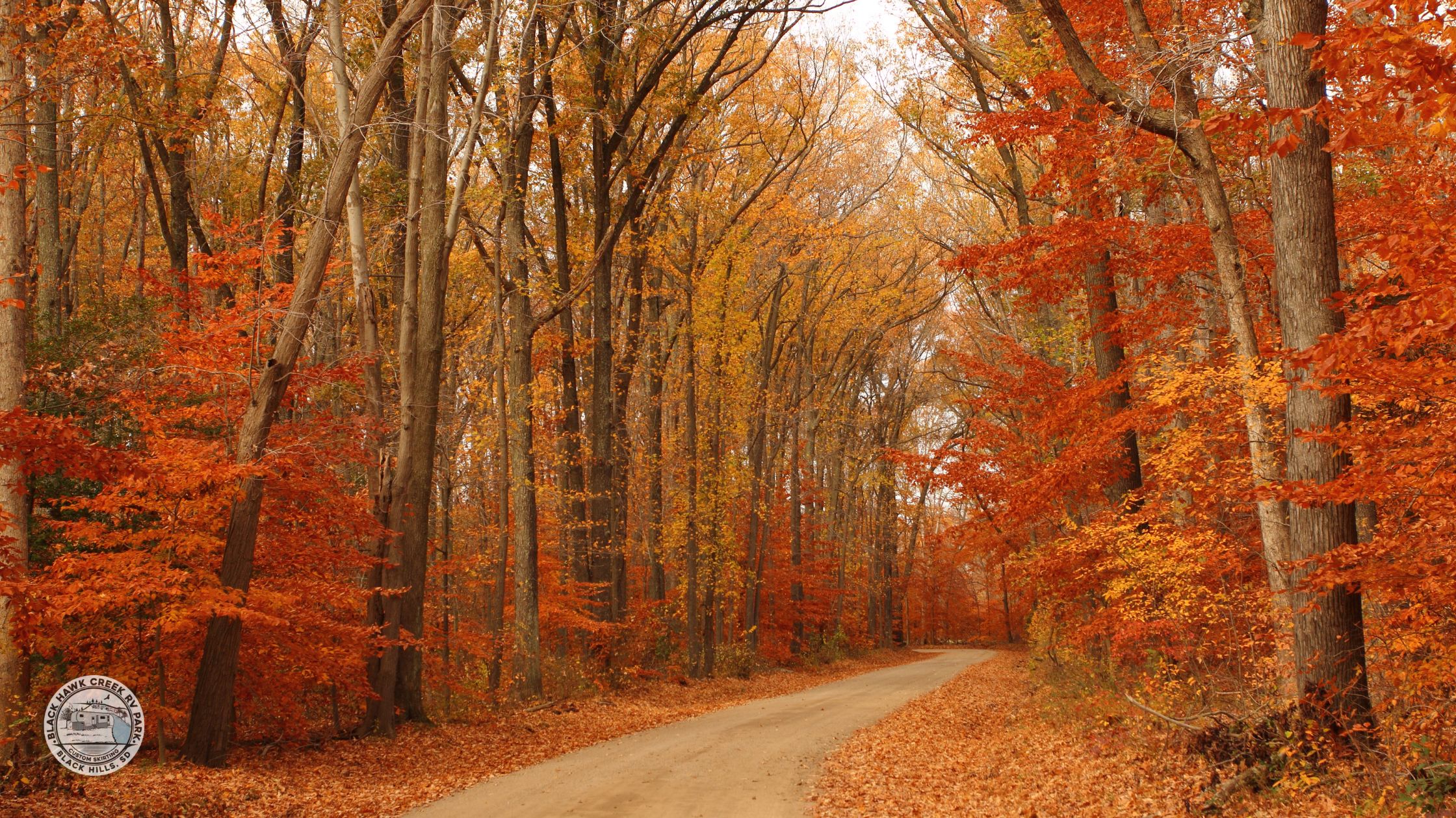 Fall in South Dakota: Autumn Colors and Experiences